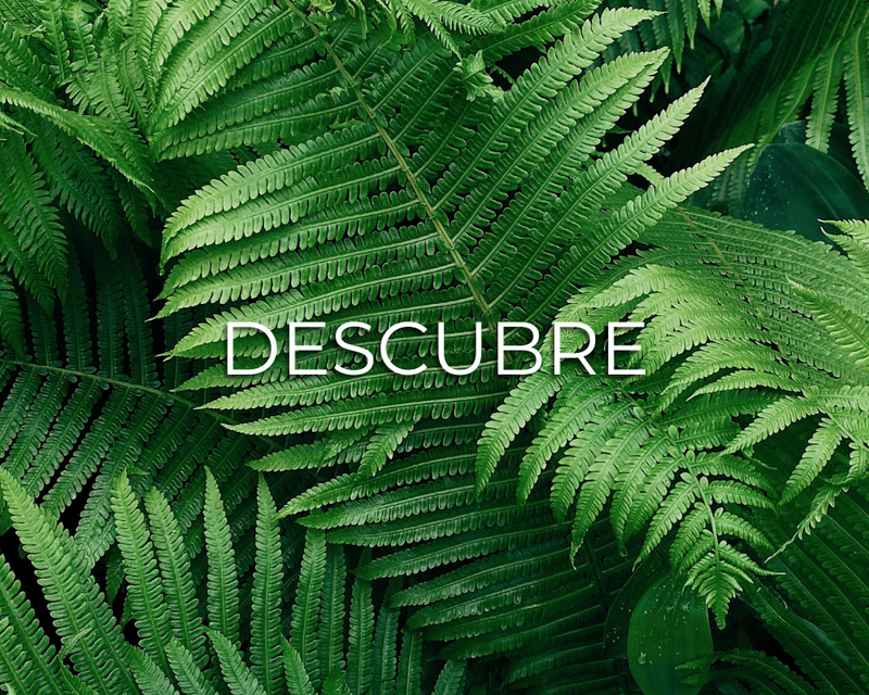 Hune | Sustainable Technology | Conscious Technology – Hune ...